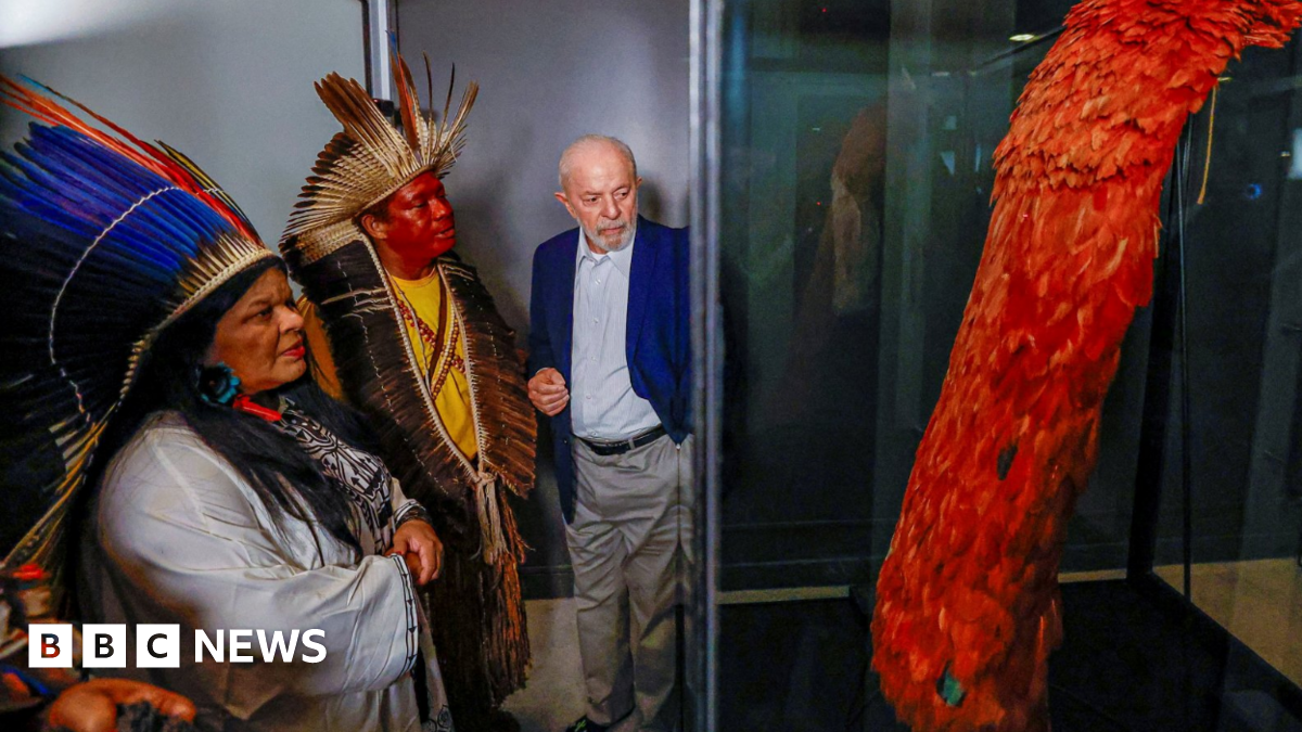Denmark museum returns iconic indigenous cloak to Brazil - BBC News
