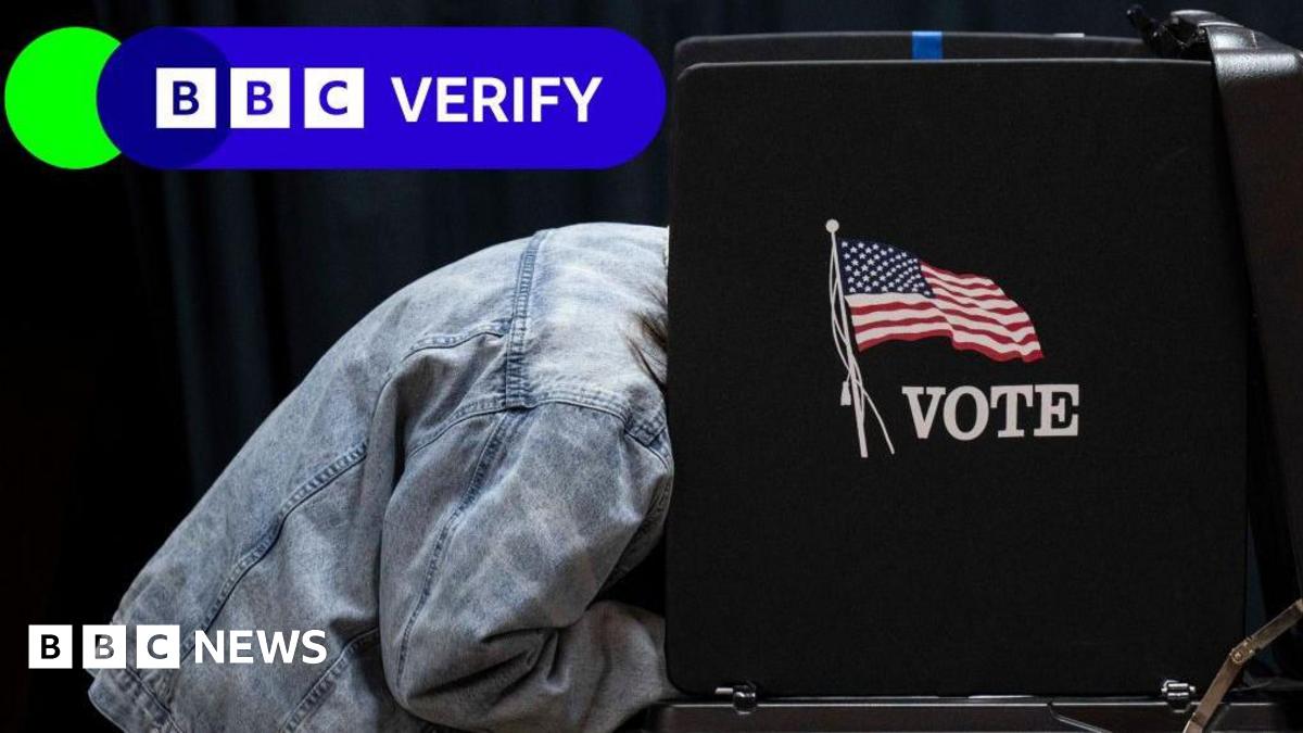 Can illegal immigrants really vote in the US election? - BBC News
