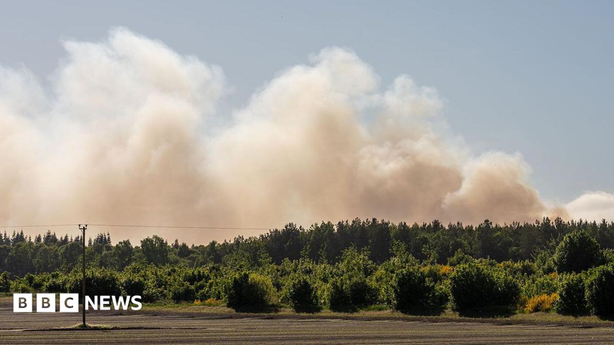 'Stay away' warning remains at site of forest fire in Moray - BBC News