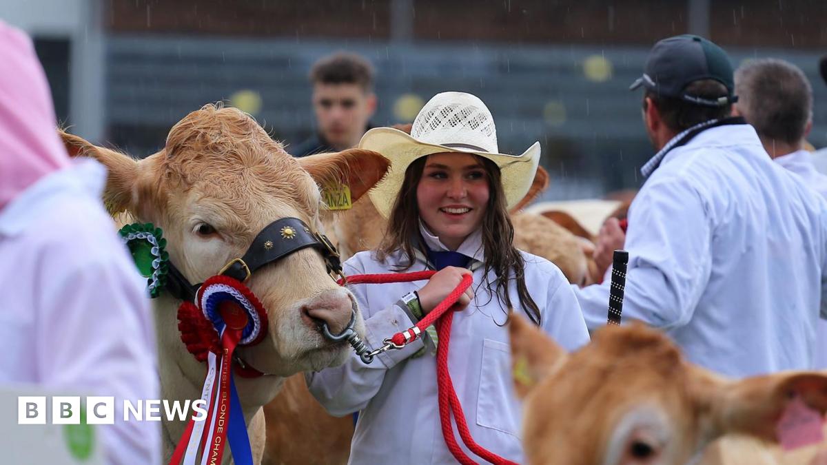 The Royal Welsh Show 2024: Everything you need to know - BBC News