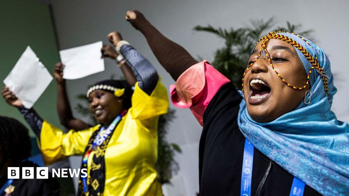 Cop29 Row At Climate Talks Over Backsliding On Fossil Fuels Bbc News