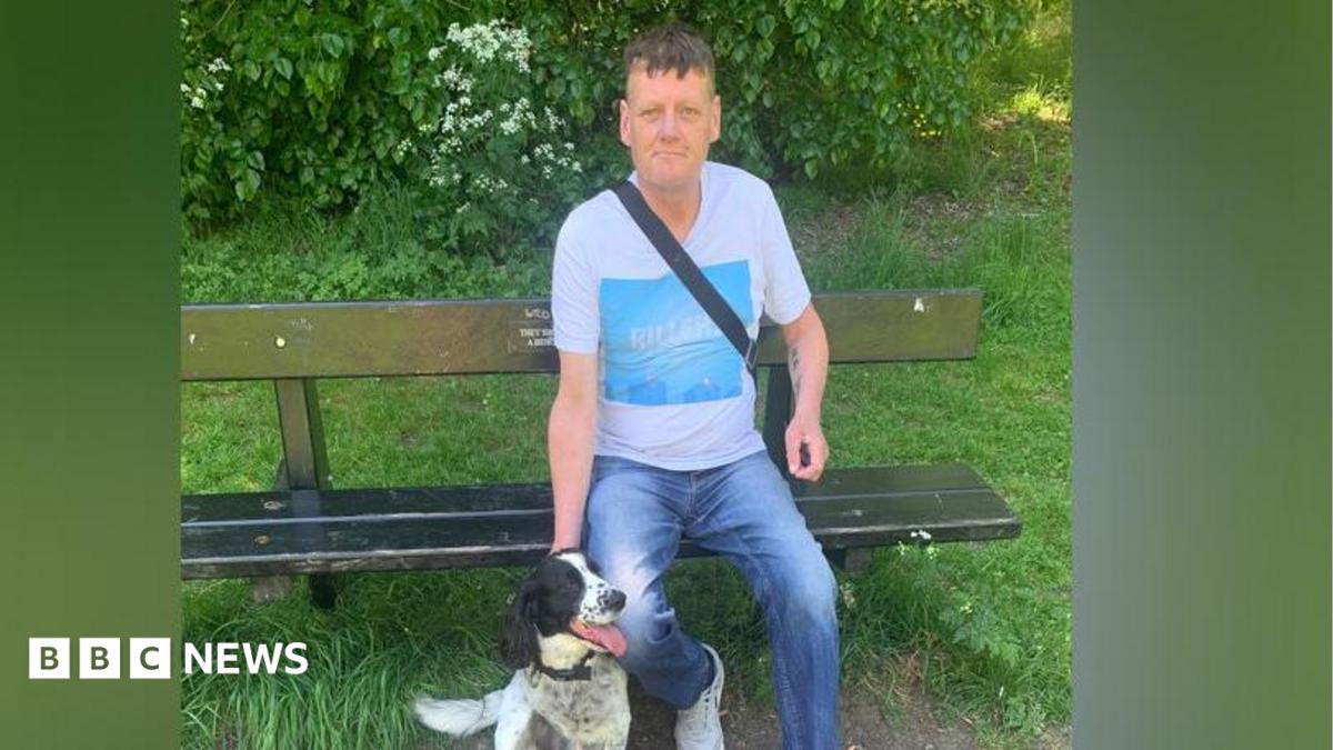 Cocker spaniel loses leg after crashing into dog poo bin - BBC News
