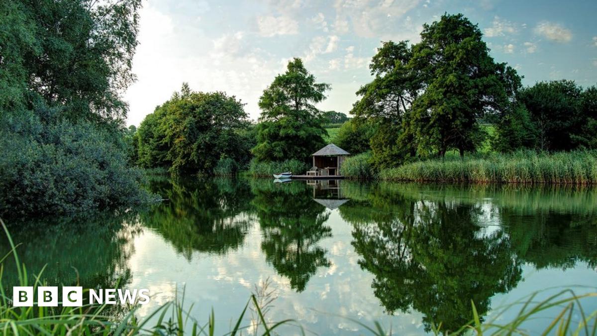 Sculpture by the Lakes in Dorset awarded botanic garden status - BBC News