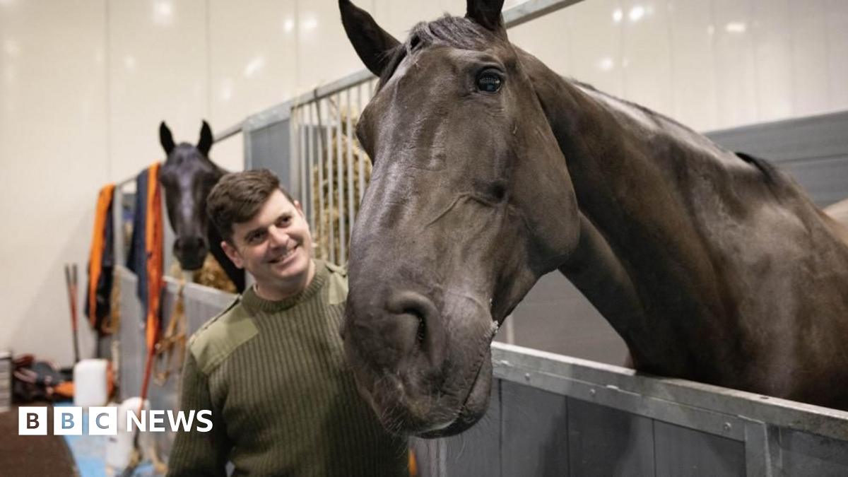 Horse who led Queen's coffin procession given 'animals' OBE' - BBC News