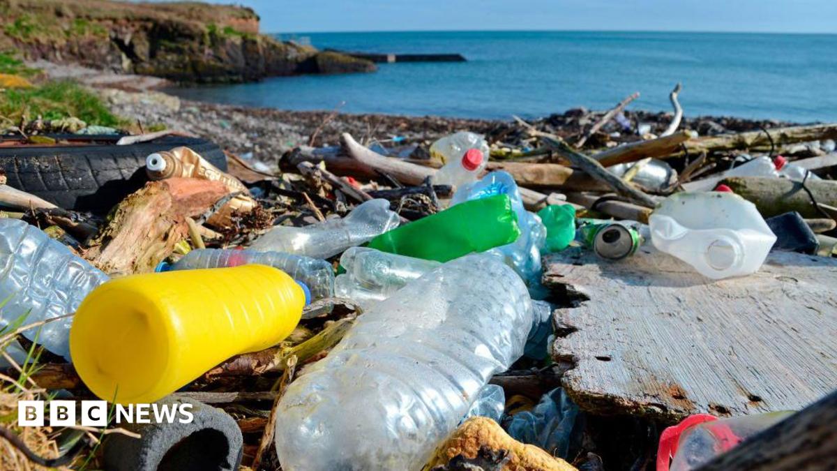 Ireland's waste increases by more than 20% in past decade - BBC News