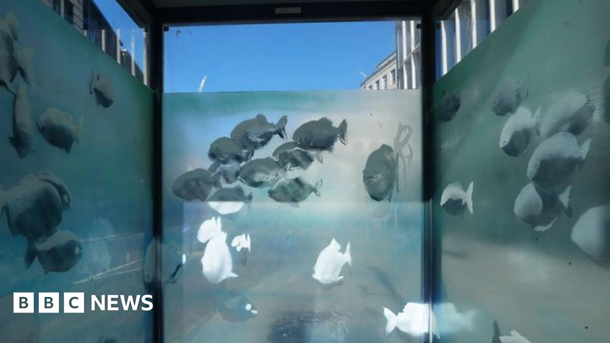 Banksy paints fish on police sentry box in London's Ludgate Hill - BBC News