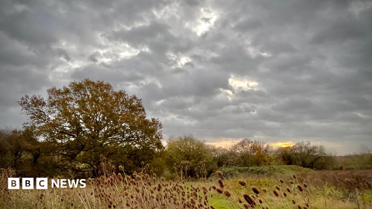 East of England strong wind weather warning as Storm Bert arrives - BBC ...
