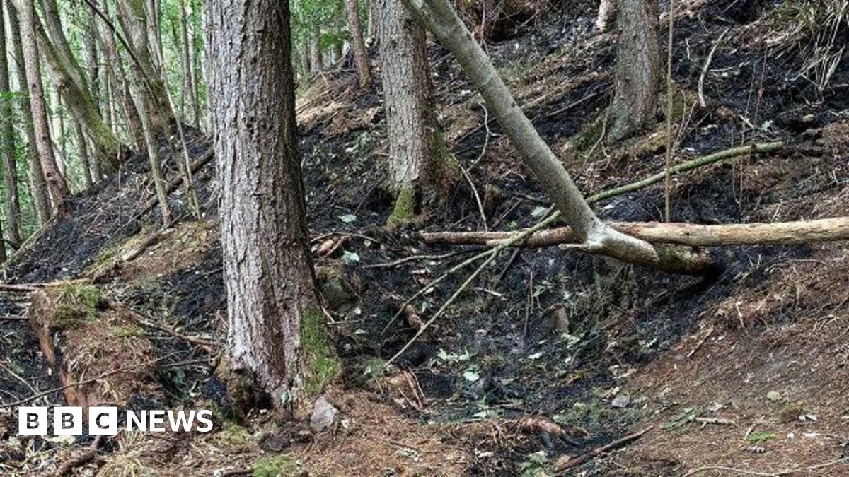 North York Moors: Woodland fire prompts police investigation - BBC News