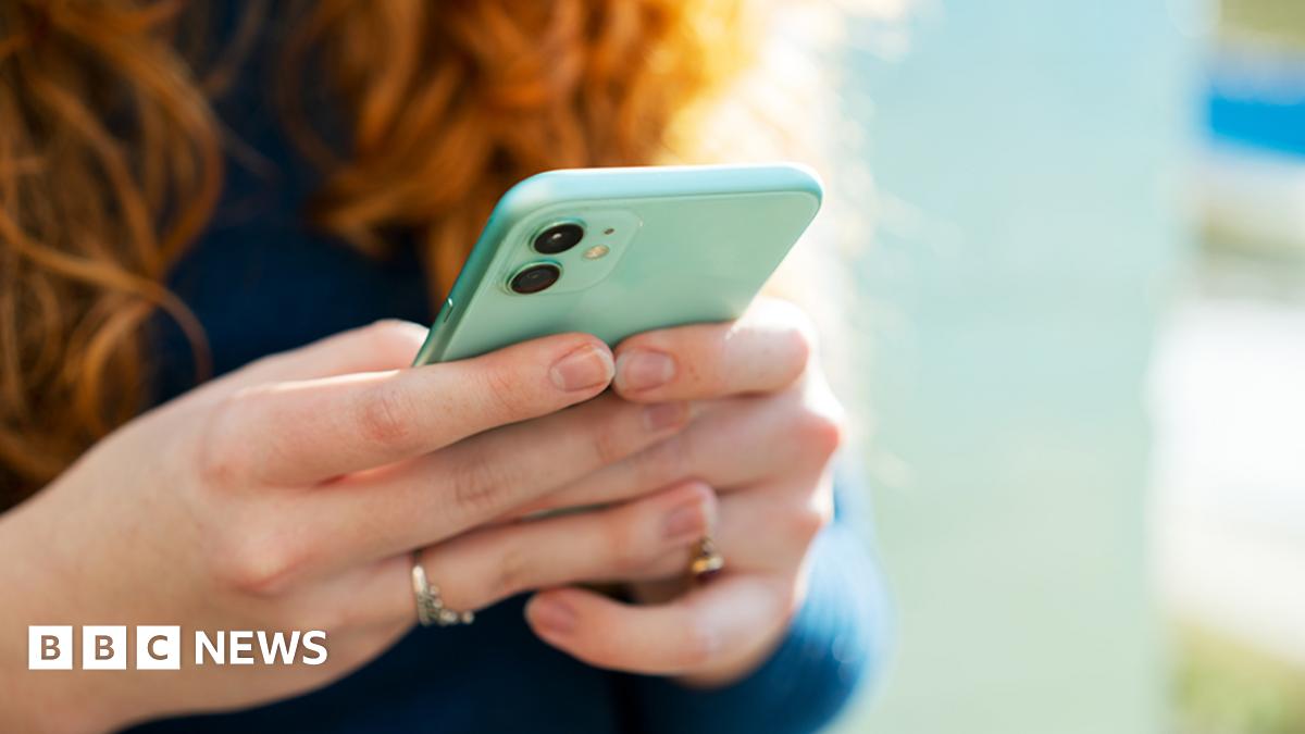 Digital pound likely this decade, Treasury says - BBC News