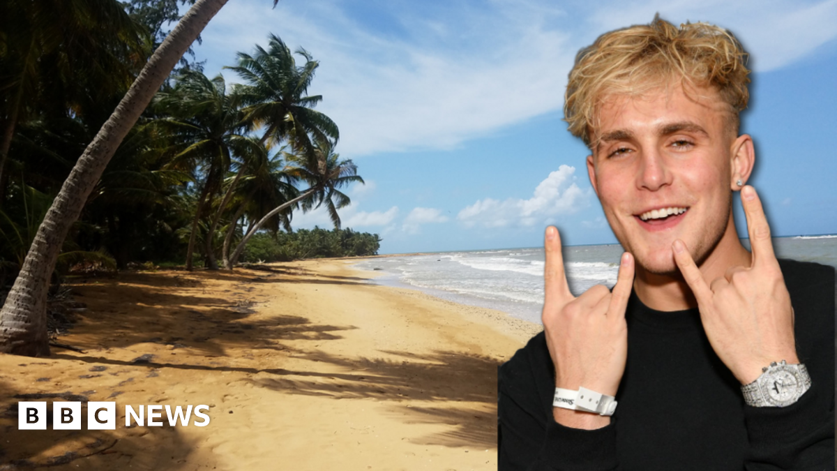 Jake Paul investigated over suspected driving on protected turtle beach ...