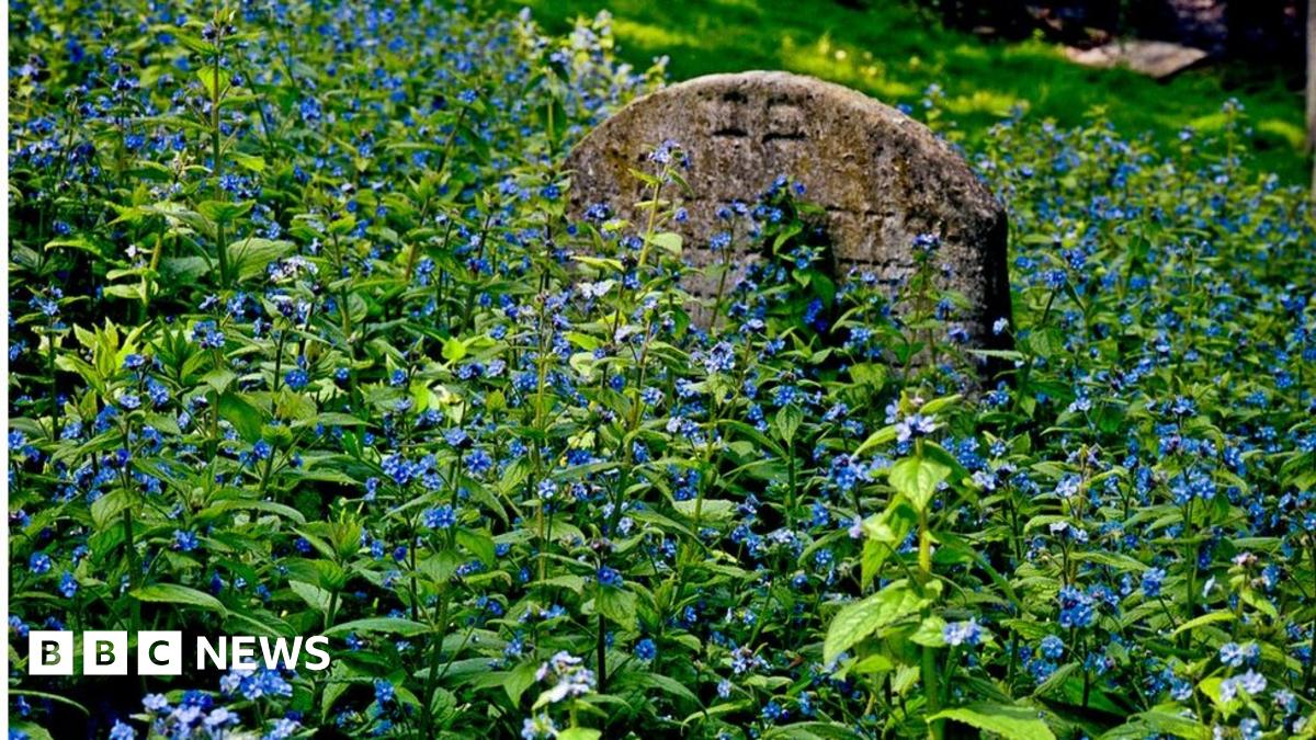 Remembering the Jewish dead - BBC News