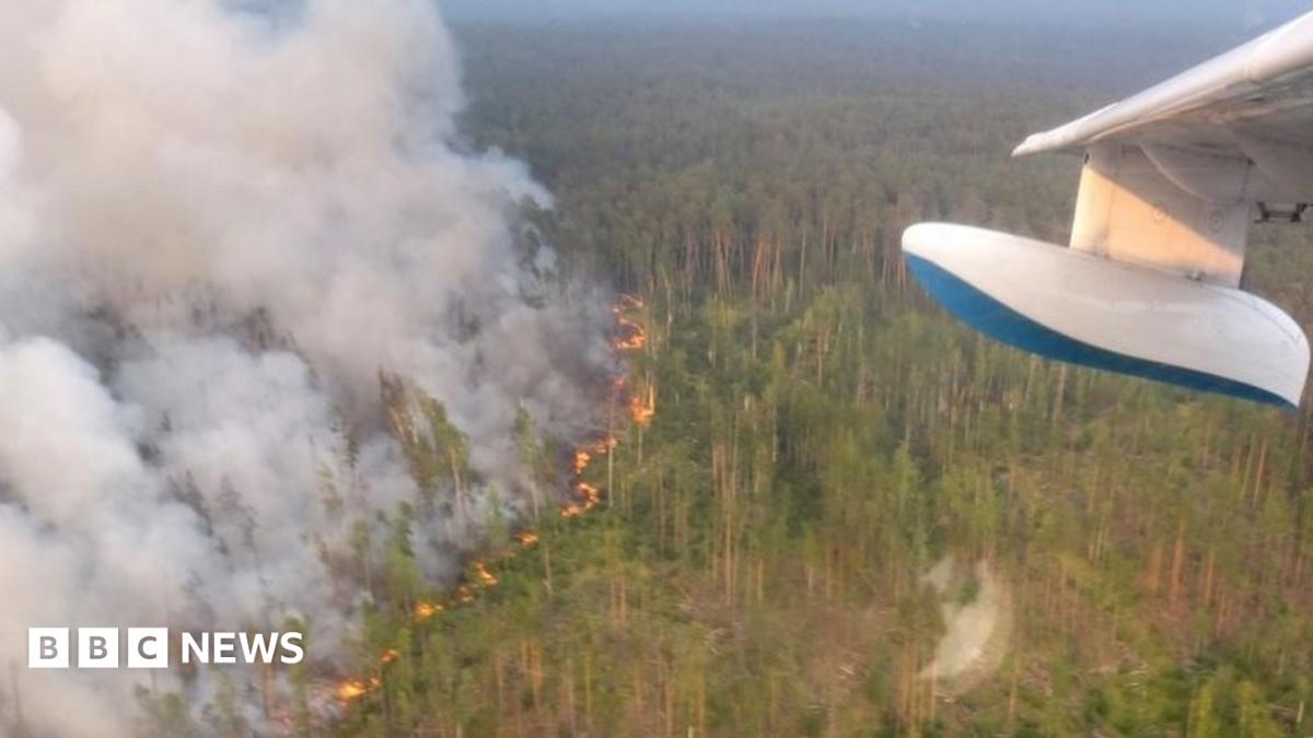 Russian army ordered to tackle massive wildfires - BBC News