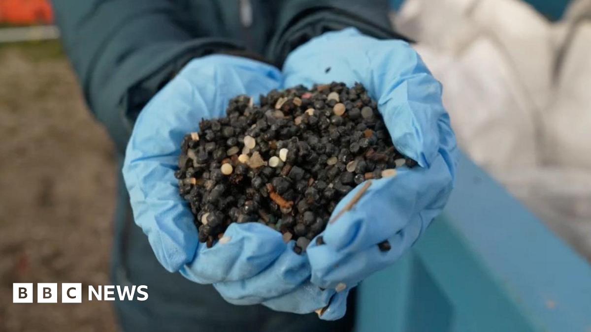 Camber Sands bio-beads contain lead and arsenic, study finds - BBC News