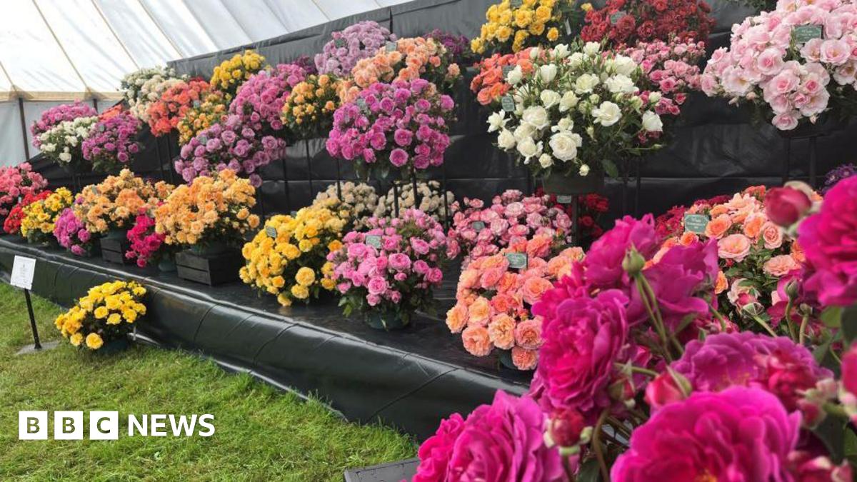 No royals at Sandringham Flower Show for first time in 30 years - BBC News