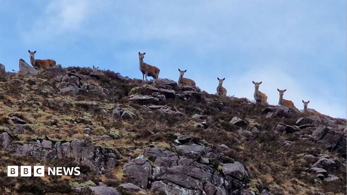 Your pictures of Scotland: Photographs from around the country - BBC News