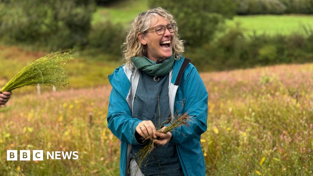 Flax: The historic plant making a comeback in Northern Ireland - BBC News