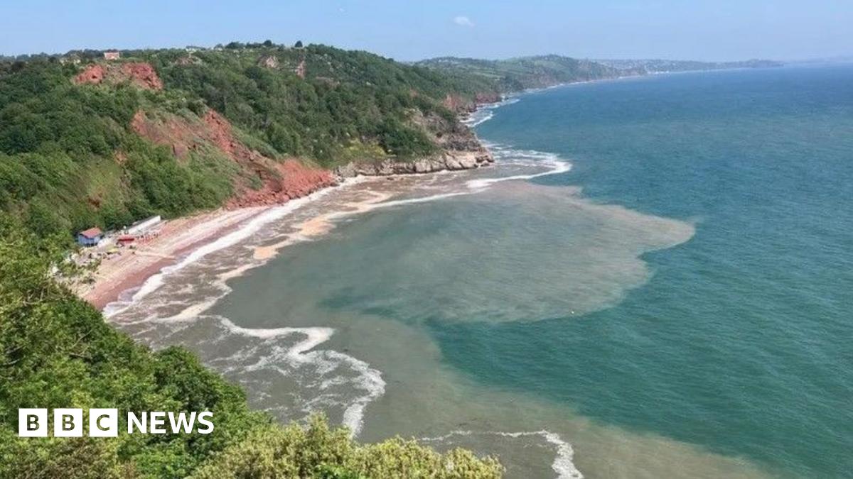 Cousins drowned after being swept off rocks in Devon - inquest - BBC News