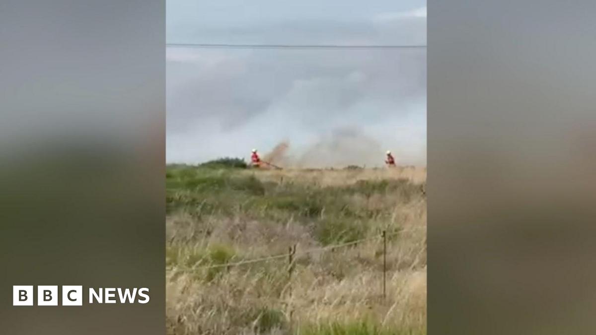 Large grass fire breaks out on Romney Marsh - BBC News