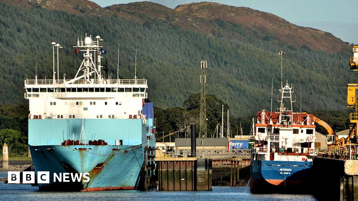 Brexit: NI border posts 'would not cope' with checks if grace periods ...