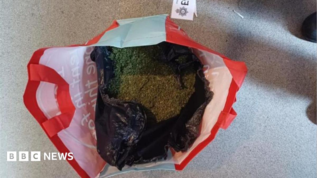 Mamba hidden inside 'bag for life' seized by police in Nottingham - BBC ...