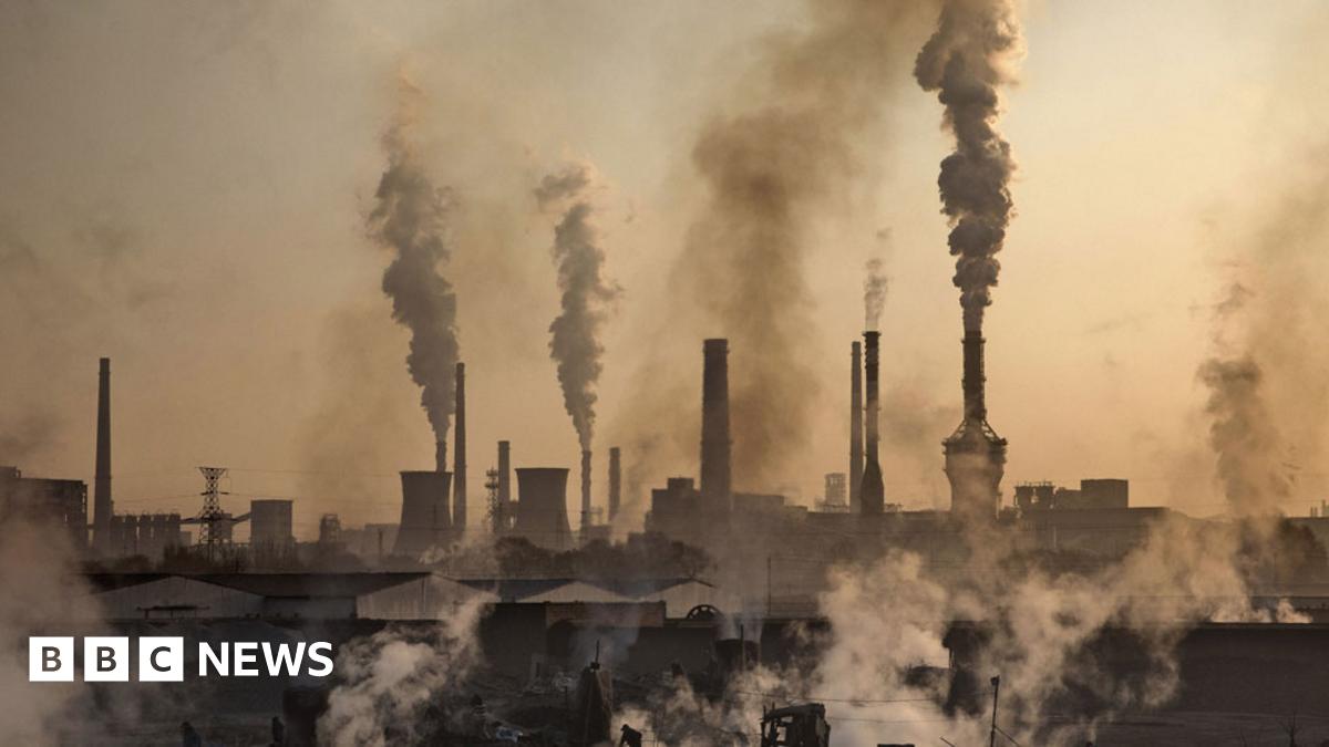 Toronto 'guerrilla' archivists to help preserve US climate data - BBC News