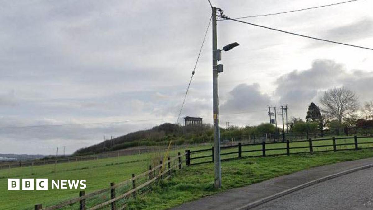 Sunderland dog walking field plans in Penshaw given go-ahead - BBC News