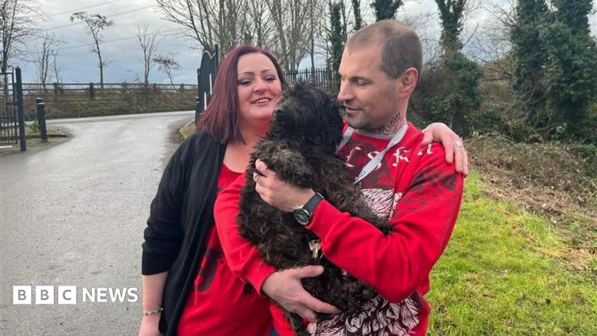 Couple reunited with missing dog after seven years - BBC News