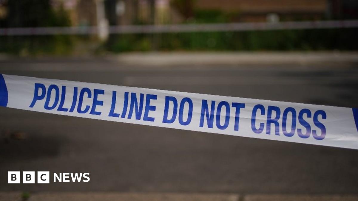 Harrow murder probe after man stabbed to death in house - BBC News