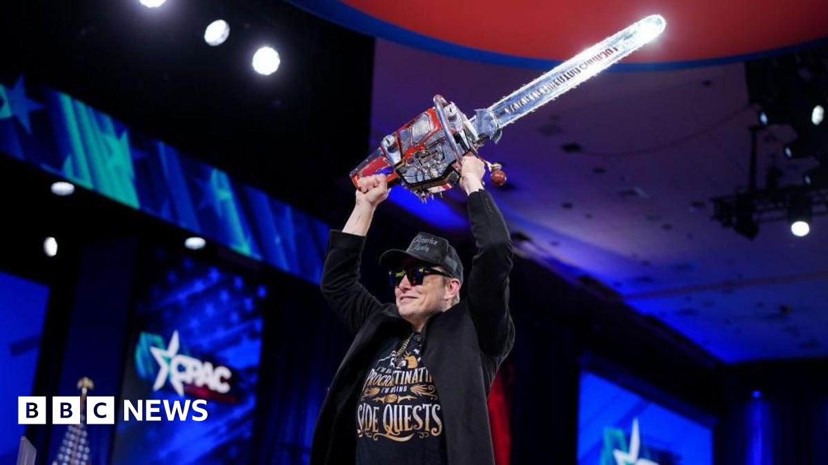 Who is Doge's official leader? White House won't say it's Musk - BBC News