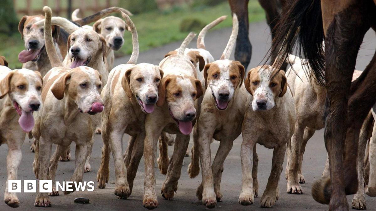 Mila sobolov naked it would be my greatest b-day desire to