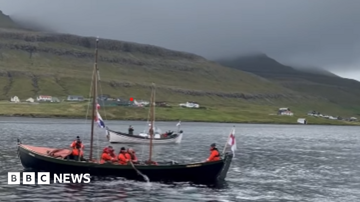 American archaeologist drowns after boat sinks on Viking voyage - BBC News