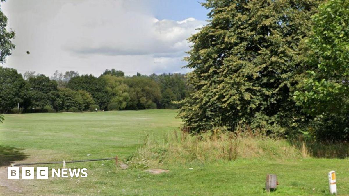 Attempted murder arrests after Donnington bonfire stabbing - BBC News