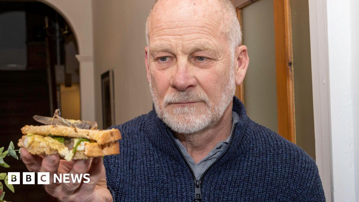 Darlington builder nearly eats locust found in salad bag - BBC News