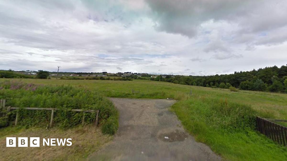 Leadgate 97 homes plan backed by Durham council - BBC News