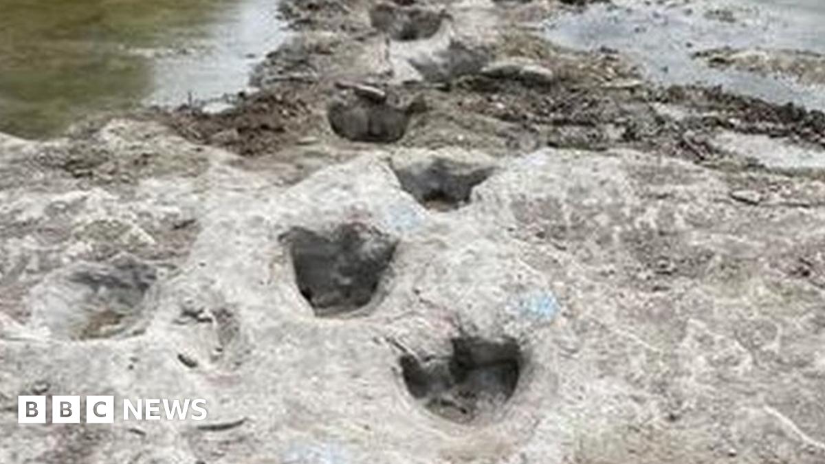 Dinosaur tracks from 113m years ago exposed by severe drought - BBC News
