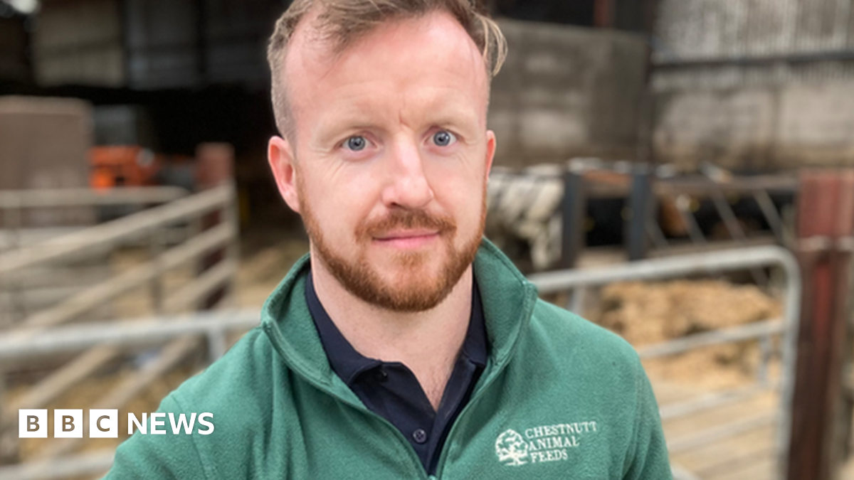 Northern Ireland: Farming pressure driving part-time rise - BBC News