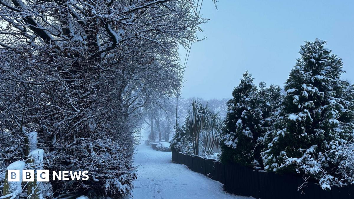 Northern Ireland: Snow causes some travel disruption - BBC News