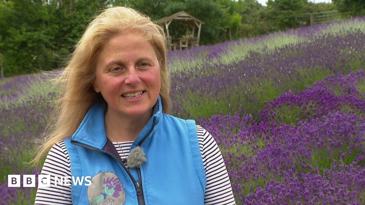 Cornish artisan business awards 'boosts economy' - BBC News