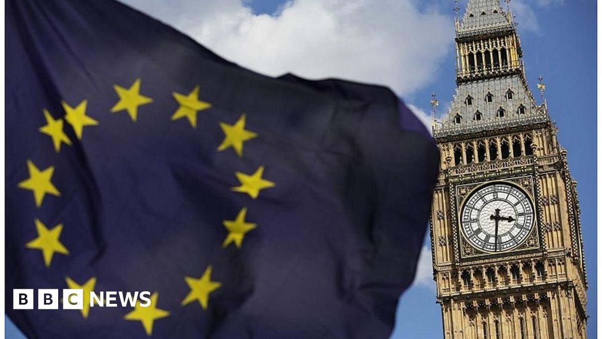 Britons should keep EU rights post-Brexit - Guy Verhofstadt - BBC News