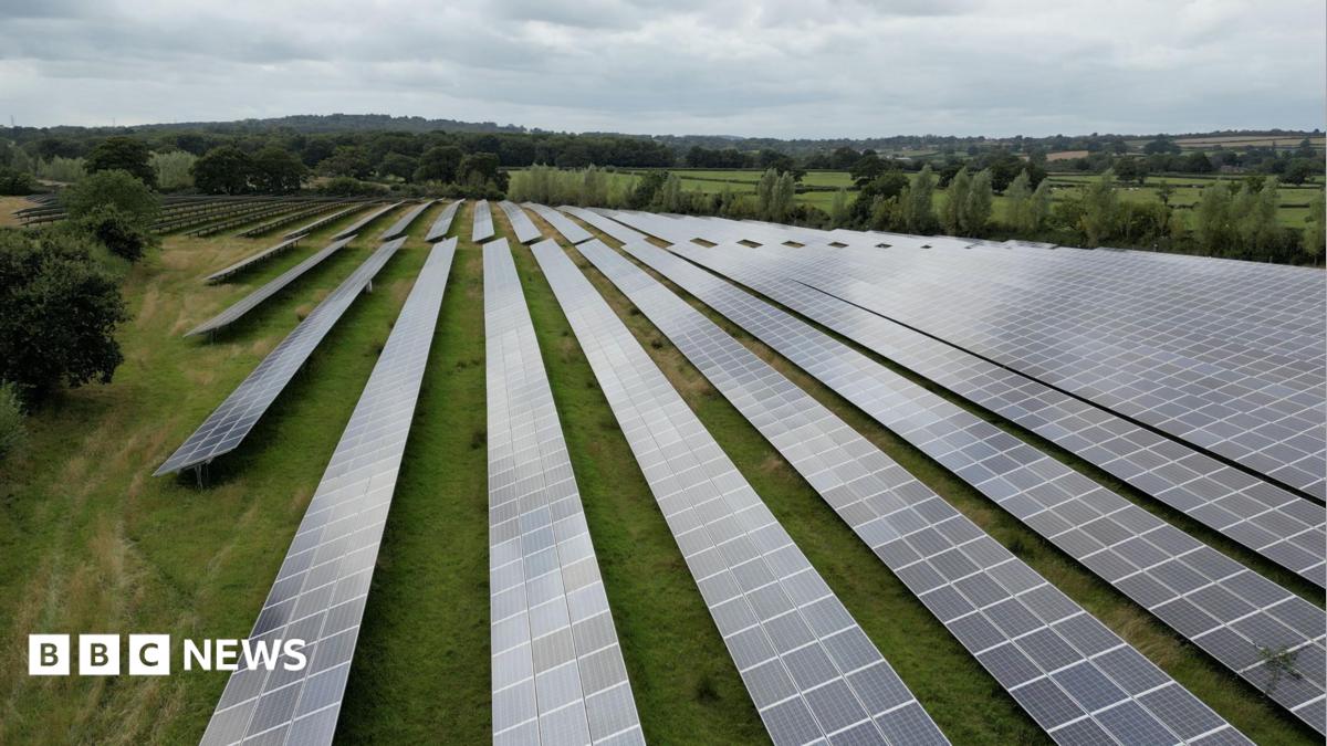 New application for solar farm spanning eight fields in Jersey - BBC News