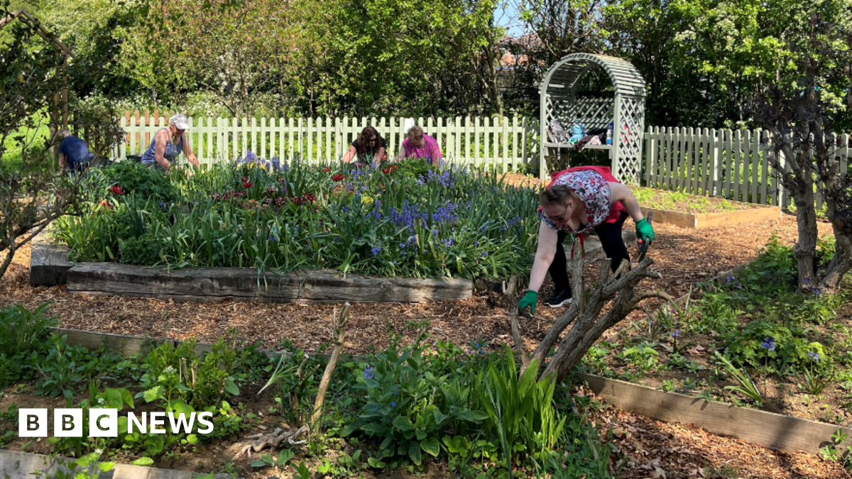 The Green Patch in Kettering helps to support mental wellbeing - BBC News