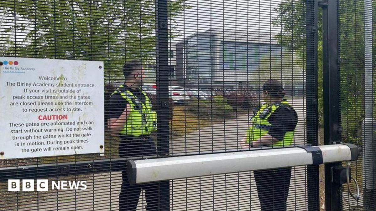 Boy, 17, appears in court over Sheffield Birley Academy attack - BBC News
