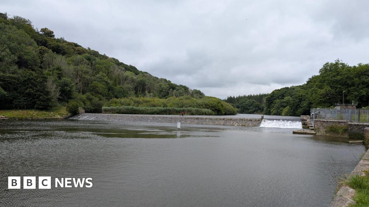 Woman saves boy from Devon dam after hearing screams for help - BBC News