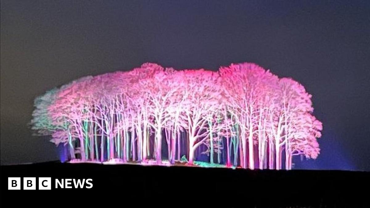 Cookworthy Knapp trees lit up pink to mark coming of spring - BBC News