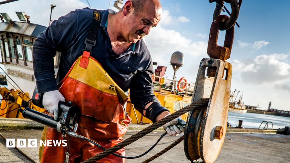 Sea views: Capturing British maritime life - BBC News