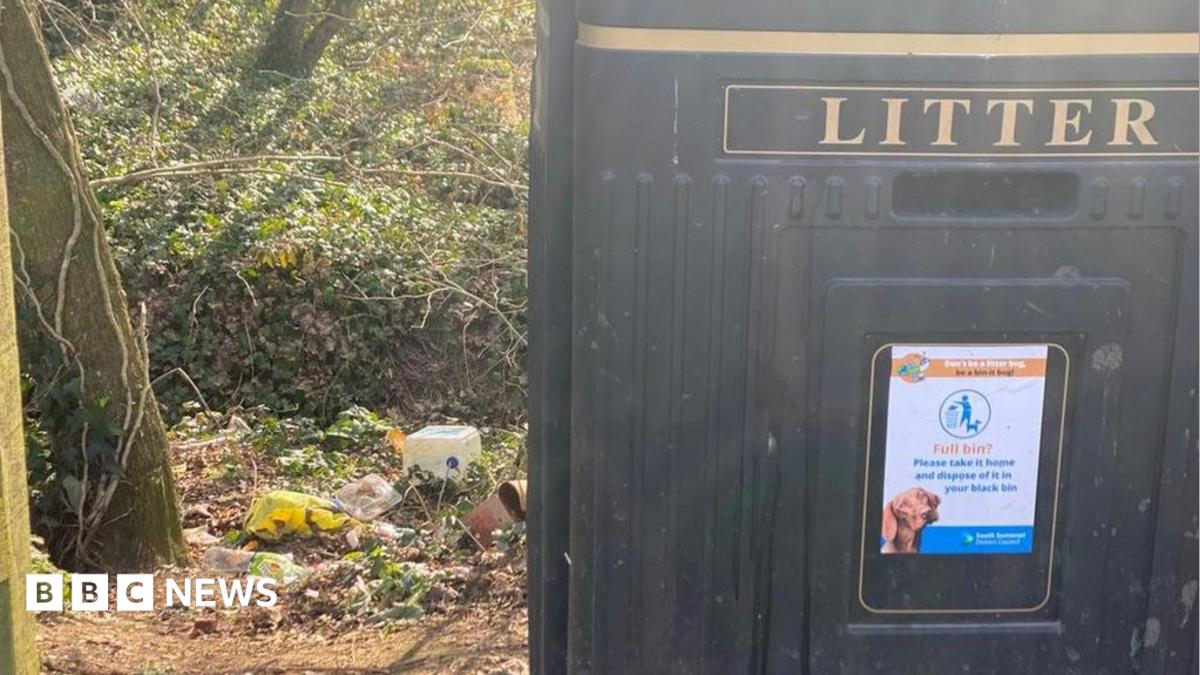 Roadside littering in Somerset at its worst, charity says - BBC News