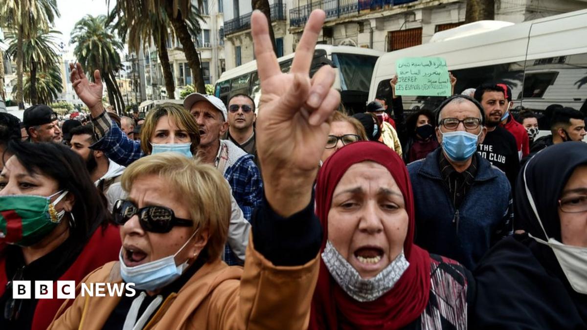 Algeria jails journalist Ihsane el-Kadi as old guard asserts power ...