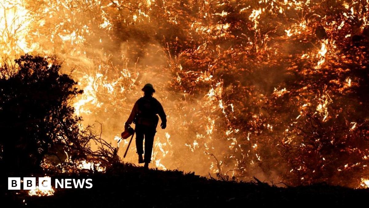 UN climate report: Scientists release 'survival guide' to avert climate ...