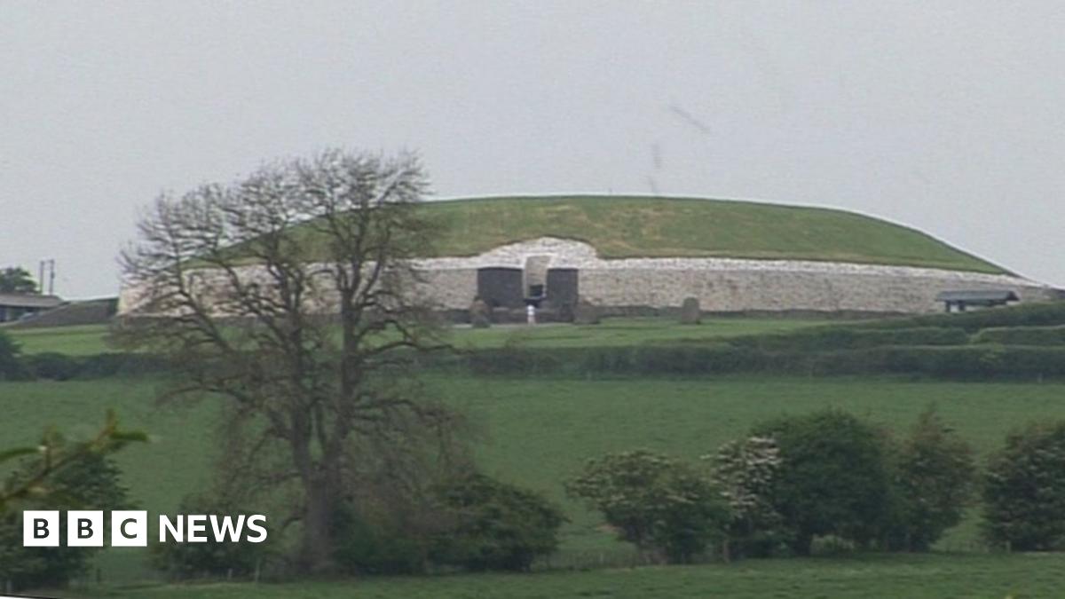 Stone Age dog bone sheds new light on possible 'dual origins' of pet ...