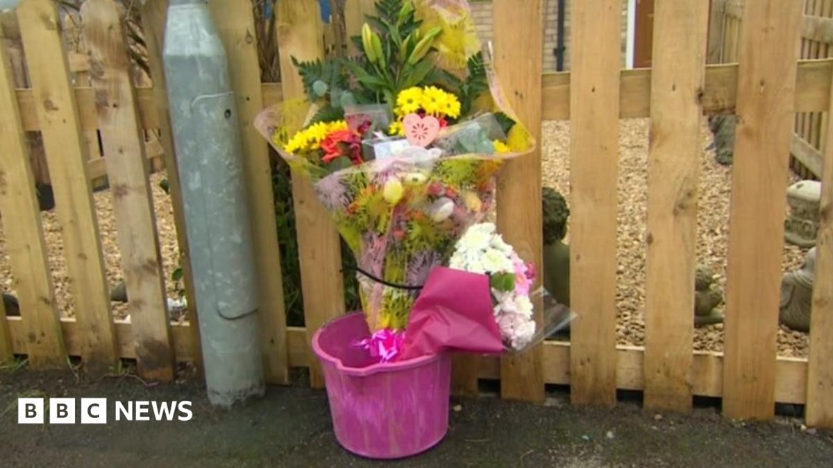 Calne girl, 3, died after being hit by reversing delivery van - BBC News